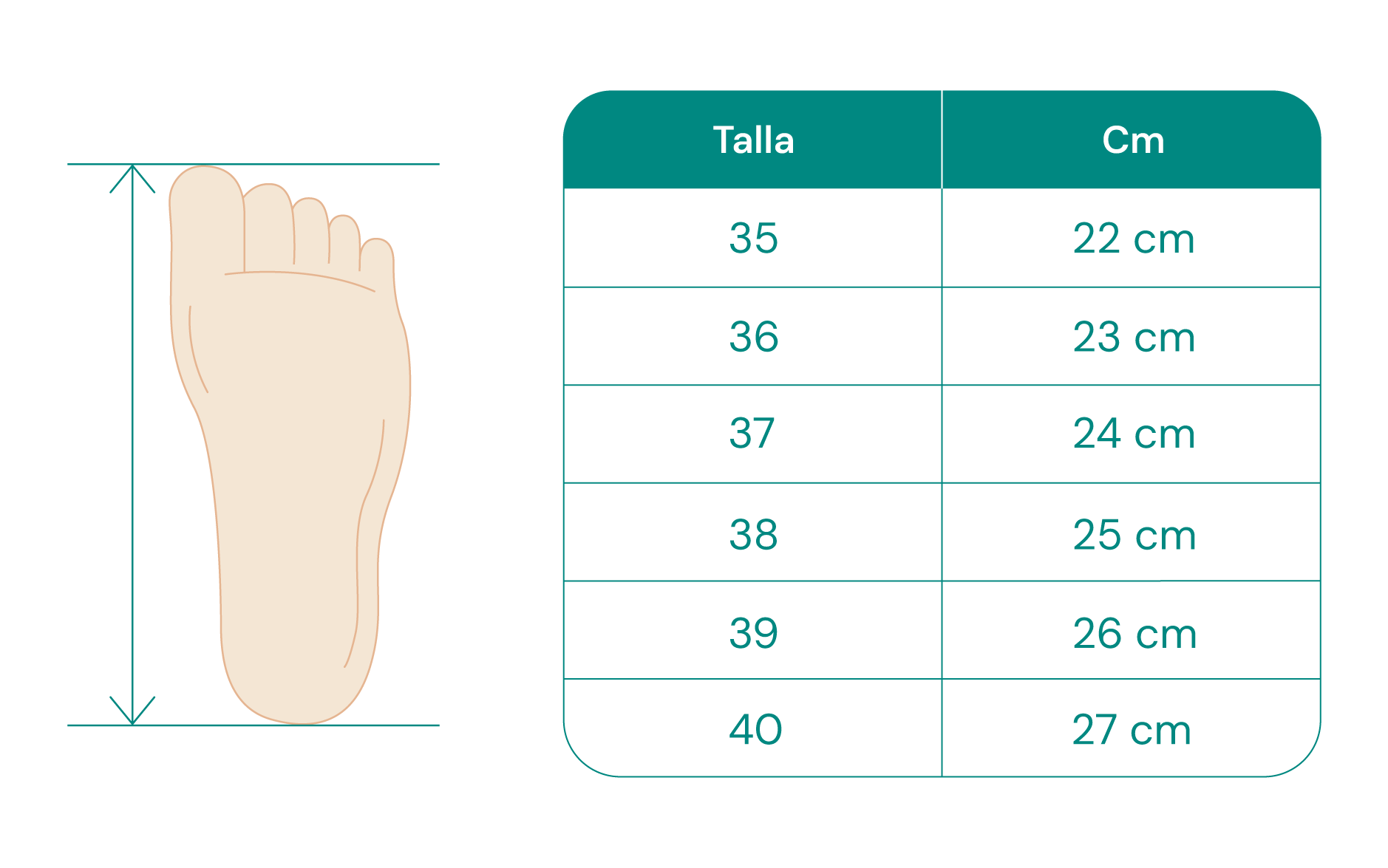 Guía de tallas – Calzadas